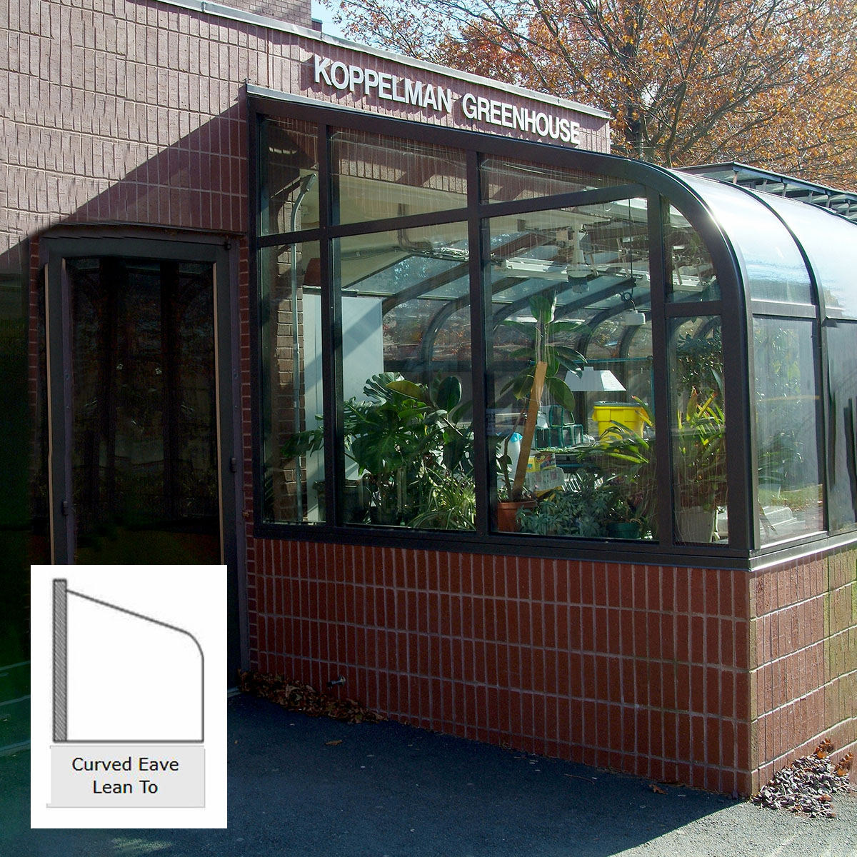 Curved Eave Lean-To - Crystal Structures